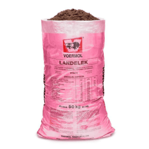 Point off Lay Chickens - Greenhill Country Farms