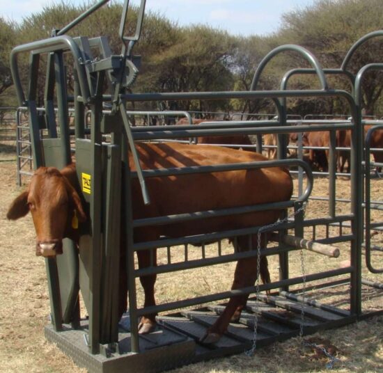 Vet clamp (Cattle) – Greenhill Country Farms