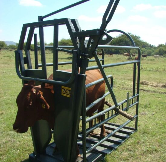 Vet clamp (Cattle) – Greenhill Country Farms